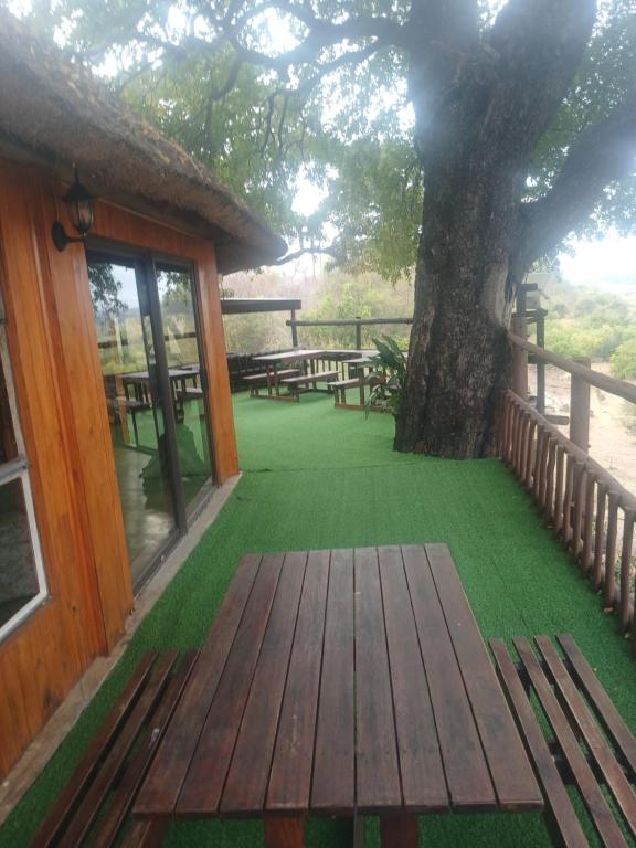 Mbaula lodge, Letaba Wildlife Reserve (updated prices 2025)