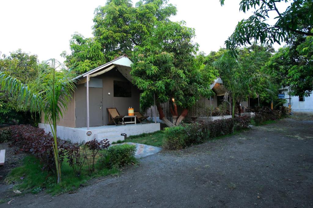 Amber Resort, Sasan Gir (updated prices 2025)