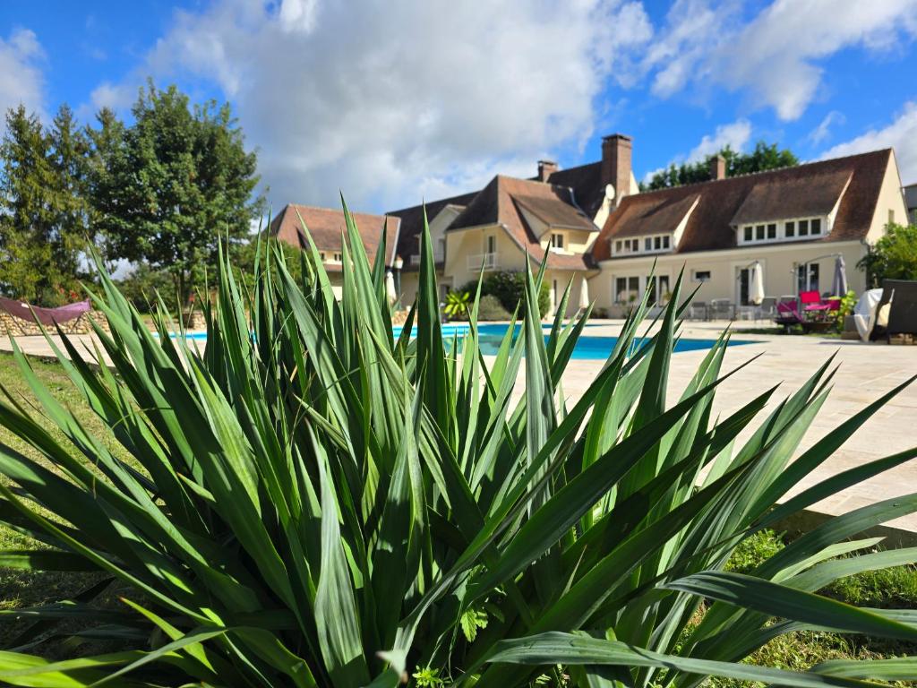 Domaine des bruns, Châtillon-Coligny (updated prices 2025)