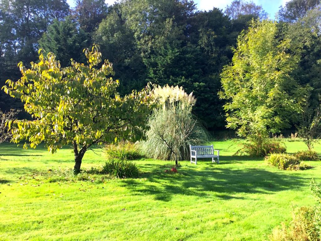 PRIMROSE PADDOCK - motorhome, Maidstone (updated prices 2025)