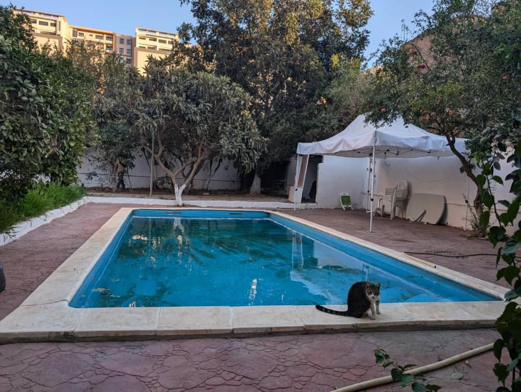 Cheraga vila piscine vacance, Cheraga (updated prices 2025)