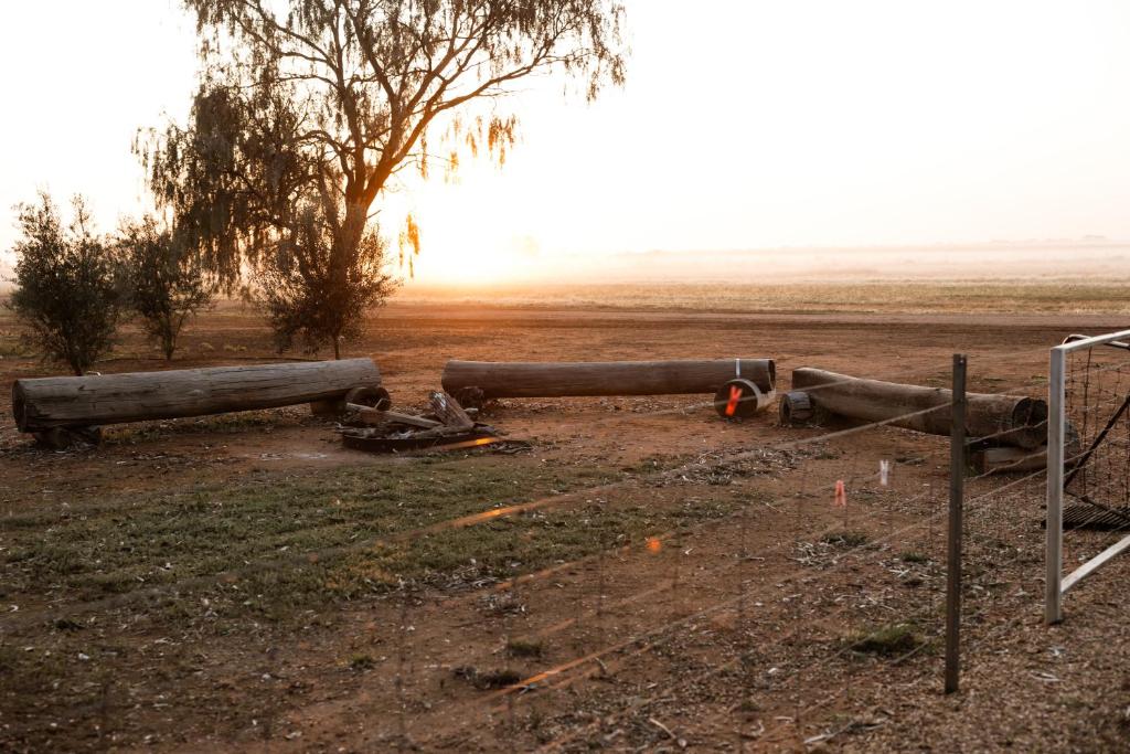 Corynnia Station, Carrathool (updated prices 2025)