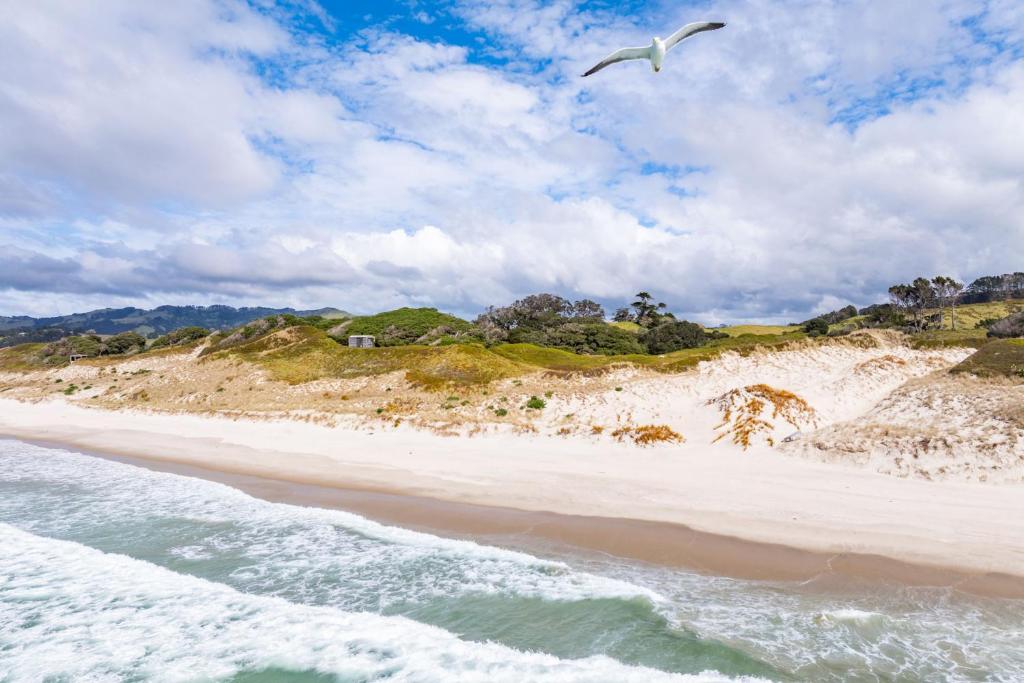 Seaview and Pohutukawa - Pakiri Beach Retreat, Wellsford (updated ...