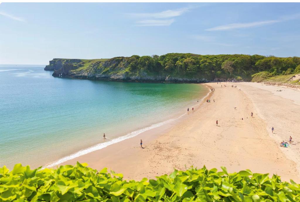 Dolphin view caravan, New Quay (updated prices 2025)