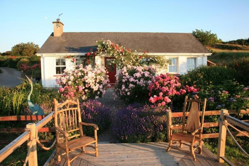 Herons Cove Cottage, Béal an dá Chab (updated prices 2026)