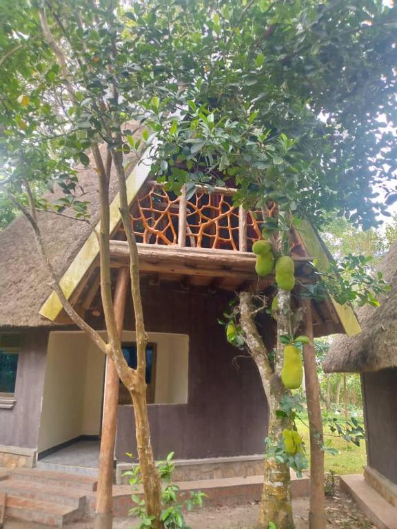 Nguru Farm Cottages, Kabale (updated prices 2025)