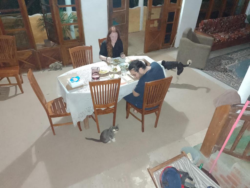 Kon Tree Shade, Dambulla (updated prices 2025)