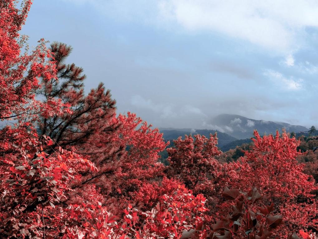 "Smoky Mountain View" 4 Miles to Gatlinburg and Pegion Forge ...