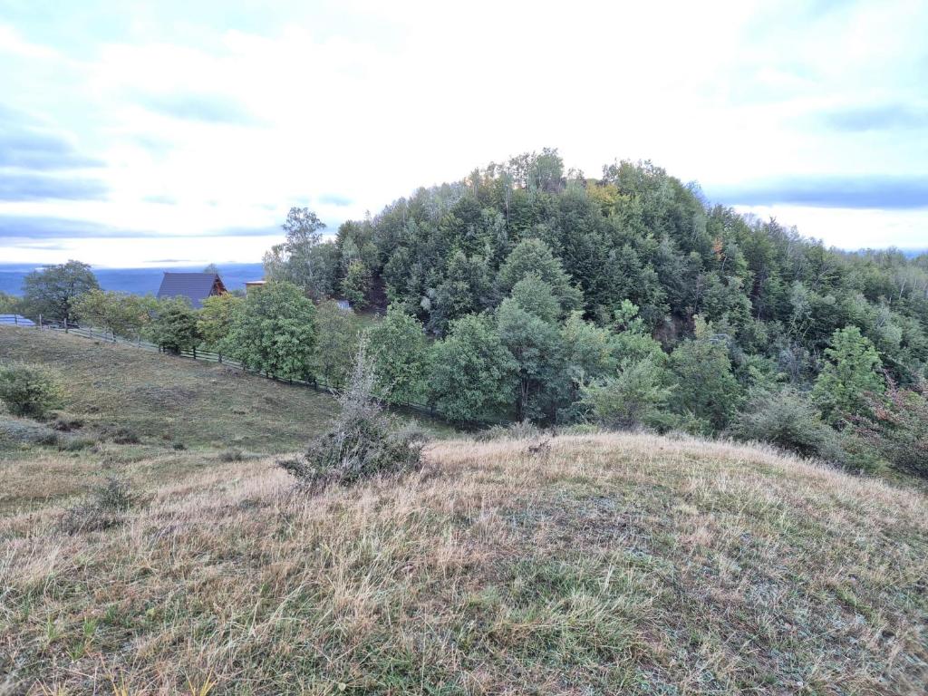 Cabana Morarilor, Bertea (updated prices 2025)