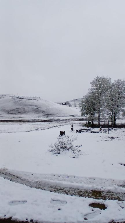 Eland Valley Resort, Underberg (updated prices 2025)