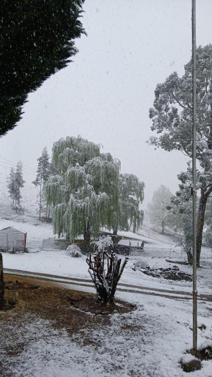 Eland Valley Resort, Underberg (updated prices 2025)