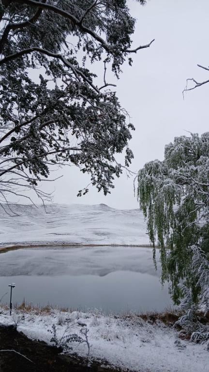 Eland Valley Resort, Underberg (updated prices 2025)