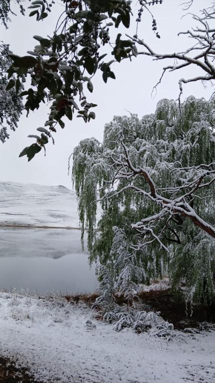 Eland Valley Resort, Underberg (updated prices 2025)