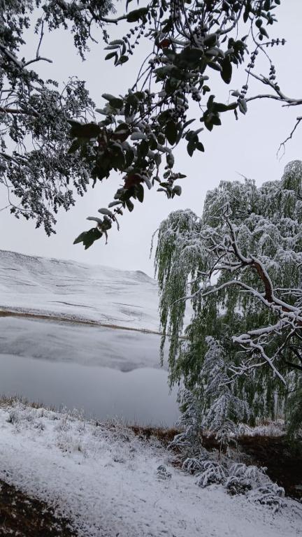 Eland Valley Resort, Underberg (updated prices 2025)