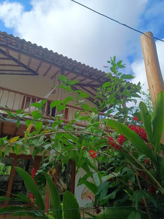 Casa Flor de Dendê, Serra Grande, Bahia, Serra Grande (preços ...