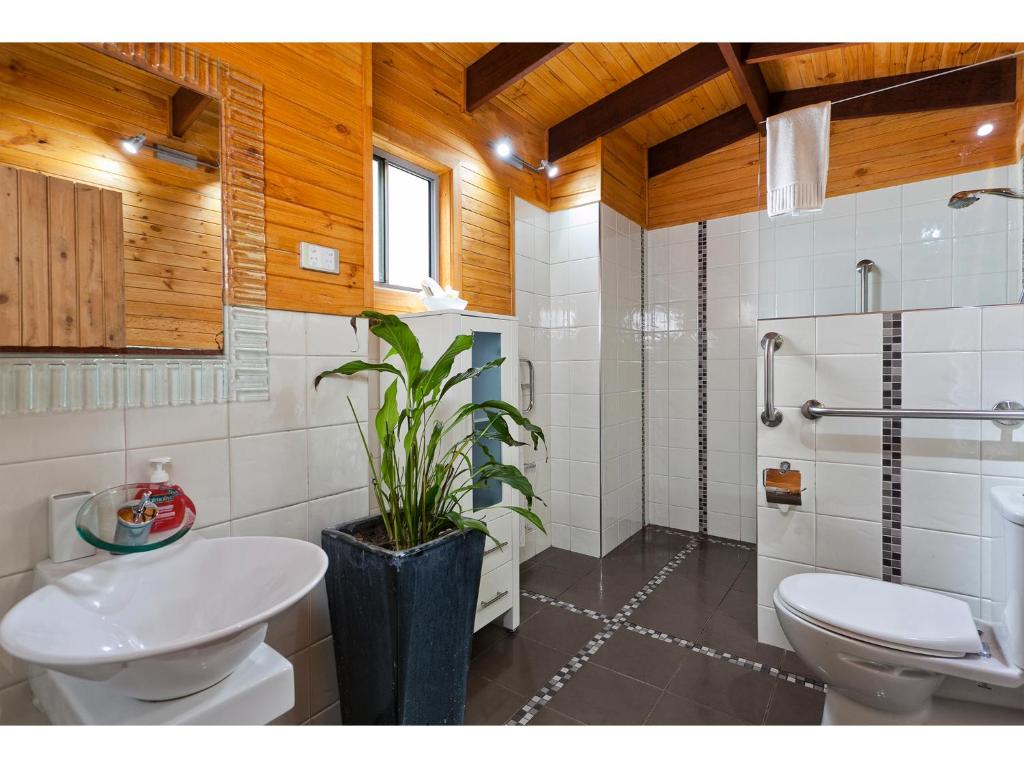 The Mouses House Rainforest Retreat, Springbrook (updated prices 2025)