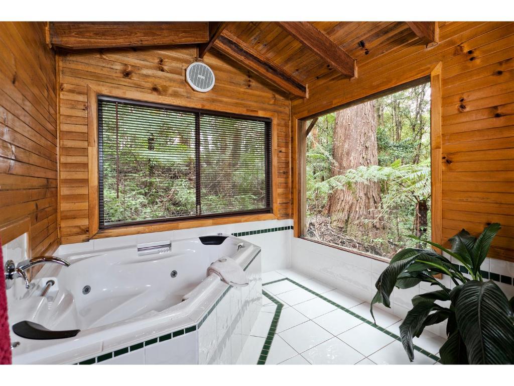 The Mouses House Rainforest Retreat, Springbrook (updated prices 2025)