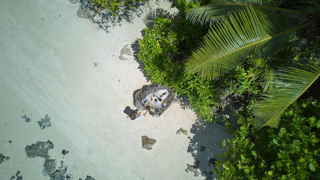 Waldorf Astoria Seychelles Platte Island, Platte Island (updated prices ...