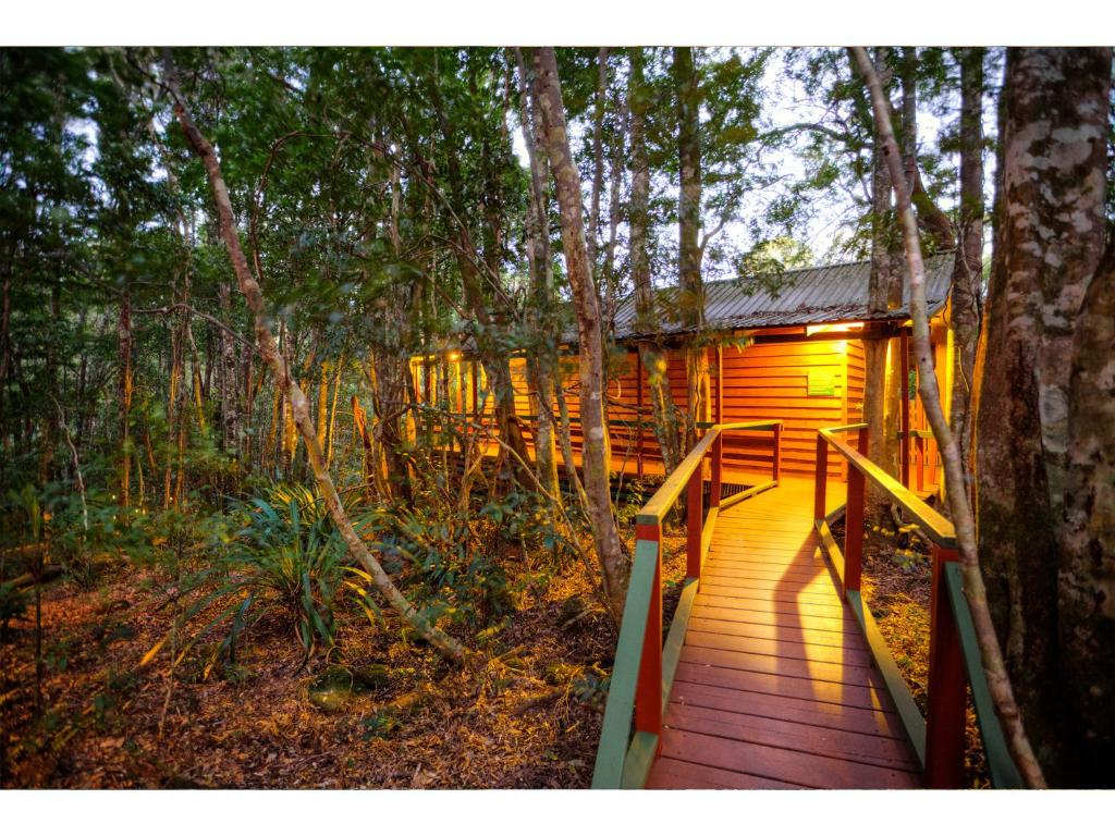 The Mouses House Rainforest Retreat, Springbrook (updated prices 2025)