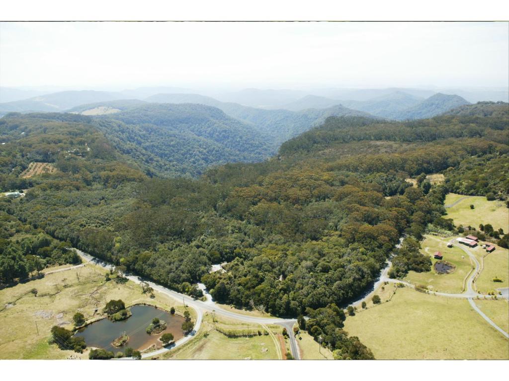 The Mouses House Rainforest Retreat, Springbrook (updated prices 2025)