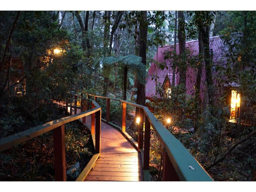 The Mouses House Rainforest Retreat, Springbrook (updated prices 2025)