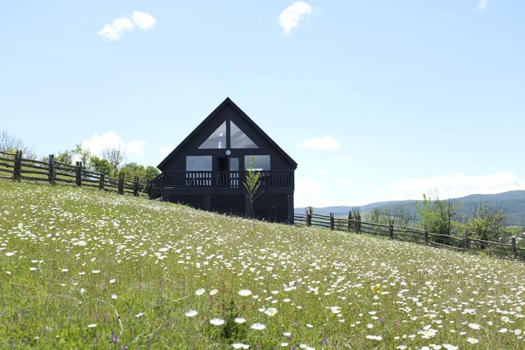 The Black Hills - Cottage in Dusheti, Dushetʼi (updated prices 2025)