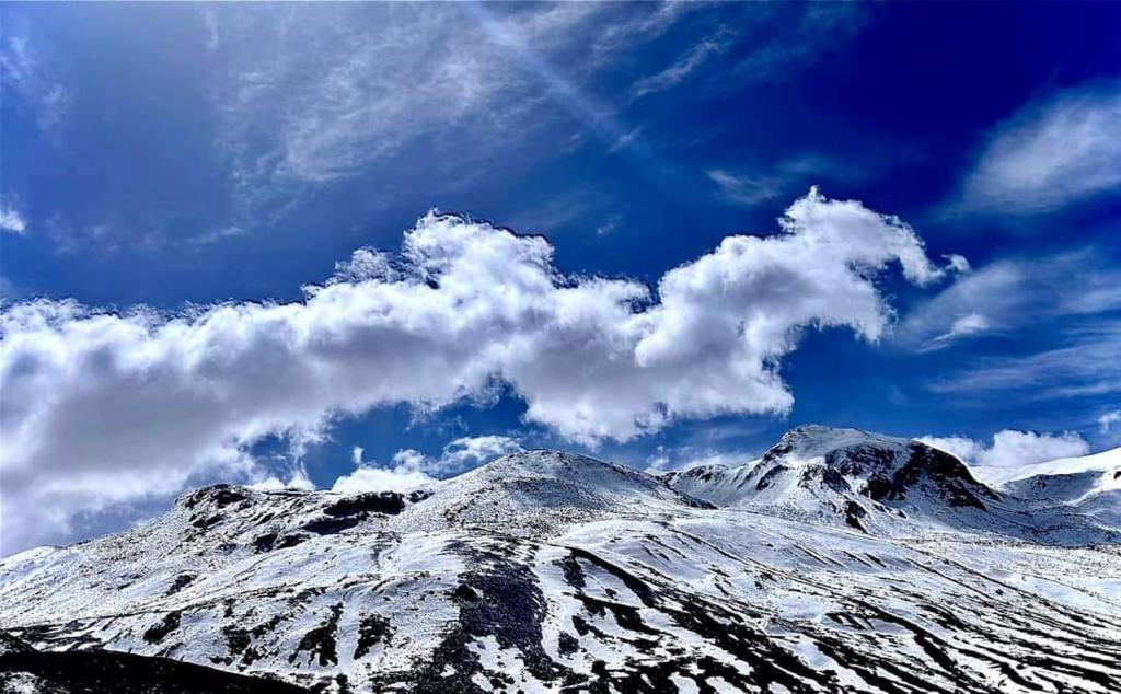 Sherpa Retreat Resort, Padamchen (updated prices 2025)