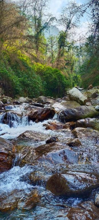 Sherpa Retreat Resort, Padamchen (updated prices 2025)