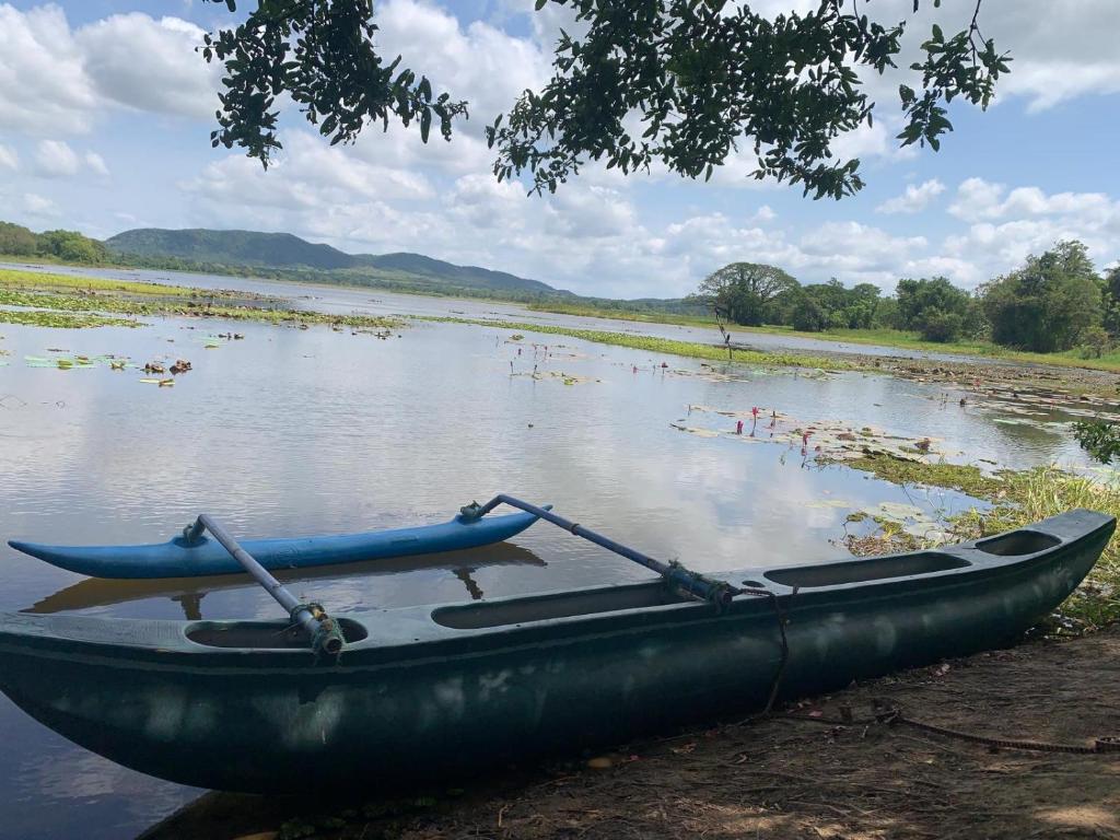 Sigiriya Jungle Edge By the Lake-Lake View Hotel, Sigiriya (updated ...