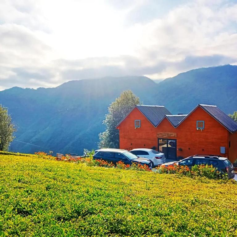 Emosh'un Tatil köyü, Ardeşen (updated prices 2025)