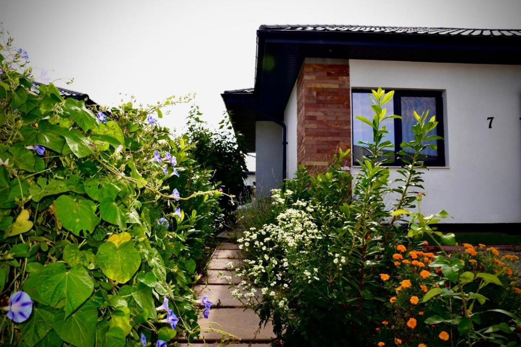 Vila Corbeanca L7, Tamaşi (updated prices 2026)