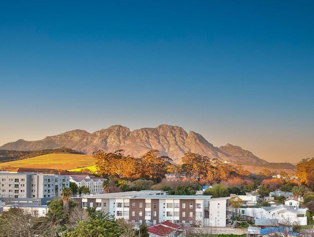 WINK Aparthotel Quiver Tree, Stellenbosch (updated prices 2024)