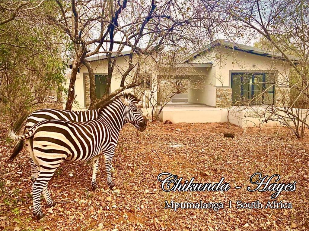 Chikunda Hayes, Marloth Park (updated prices 2026)