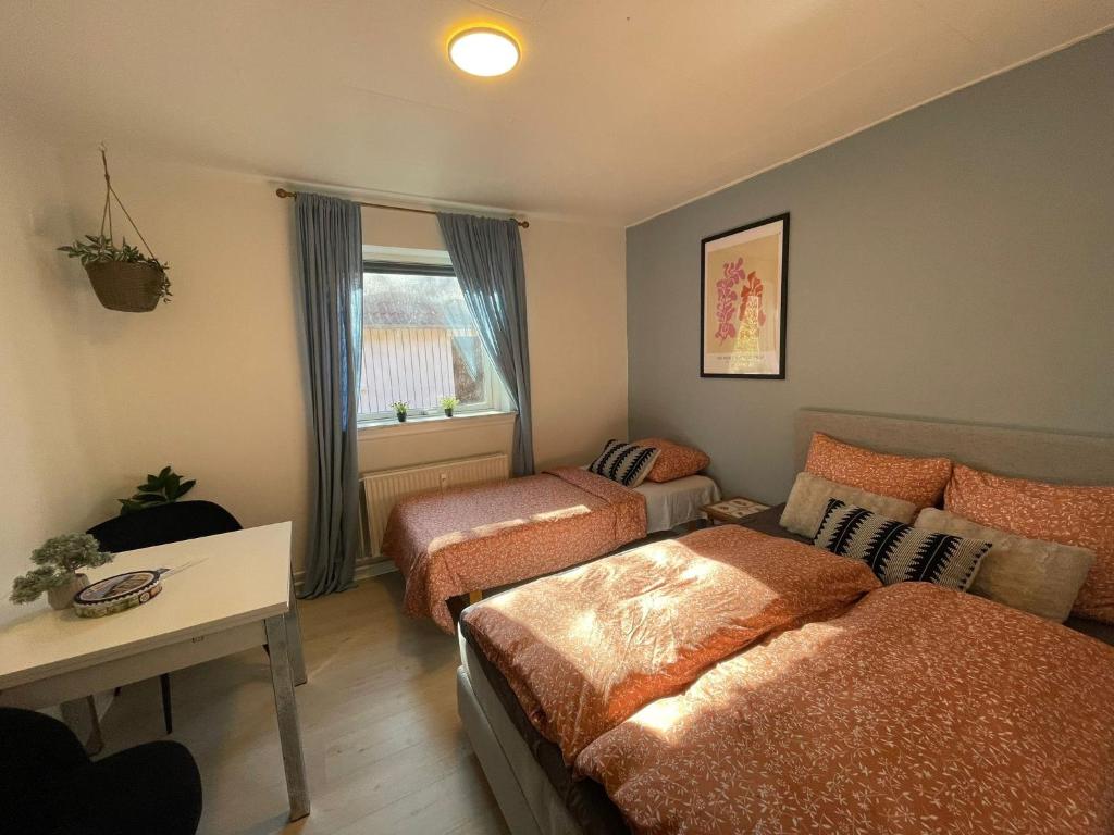 5 minute walk to LEGO house - n18 - studio room with private bathroom ...