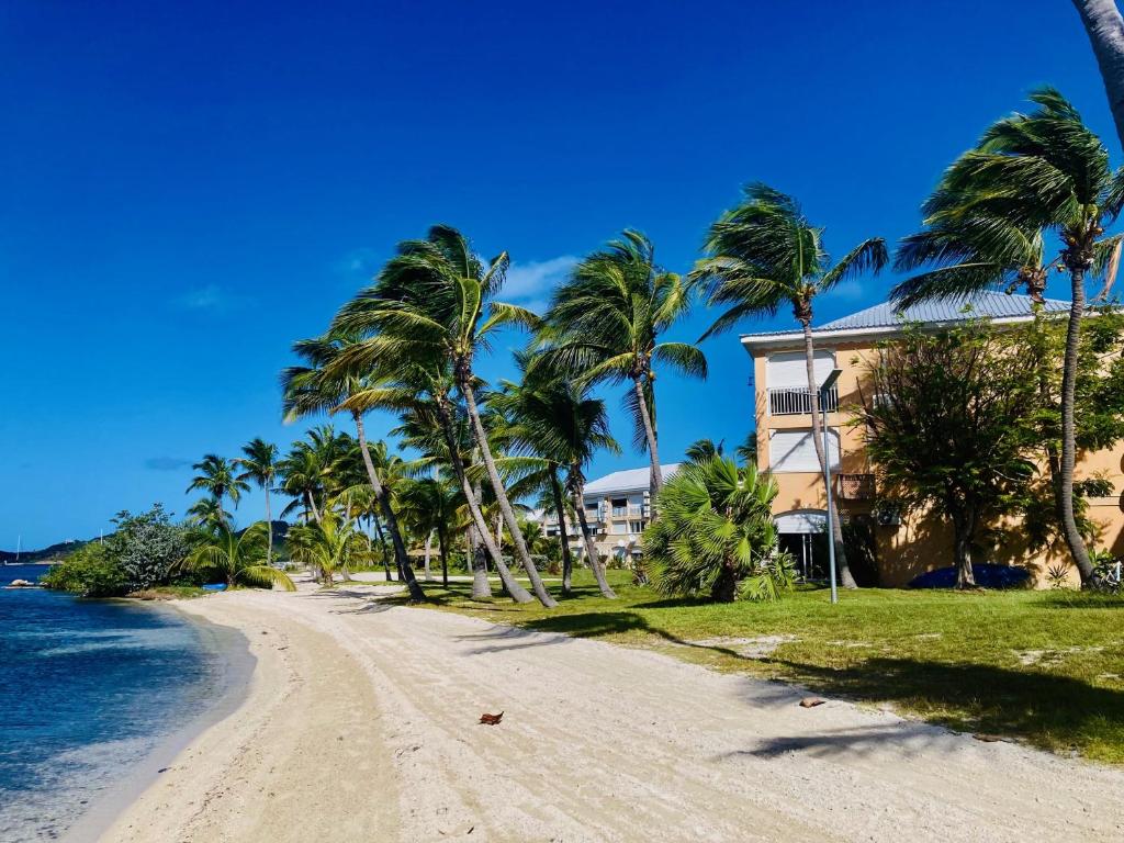 Caribbean Escape Coco & Mango, Baie Nettle (updated prices 2026)