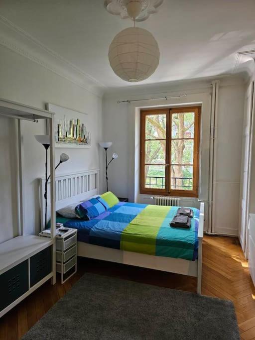 Geneva Gem Spacious Apt for 4 Inc Free bus pass, Ginebra (precios ...