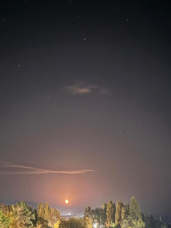 Raduga West Panorama, Kosh-Kël' (updated prices 2025)