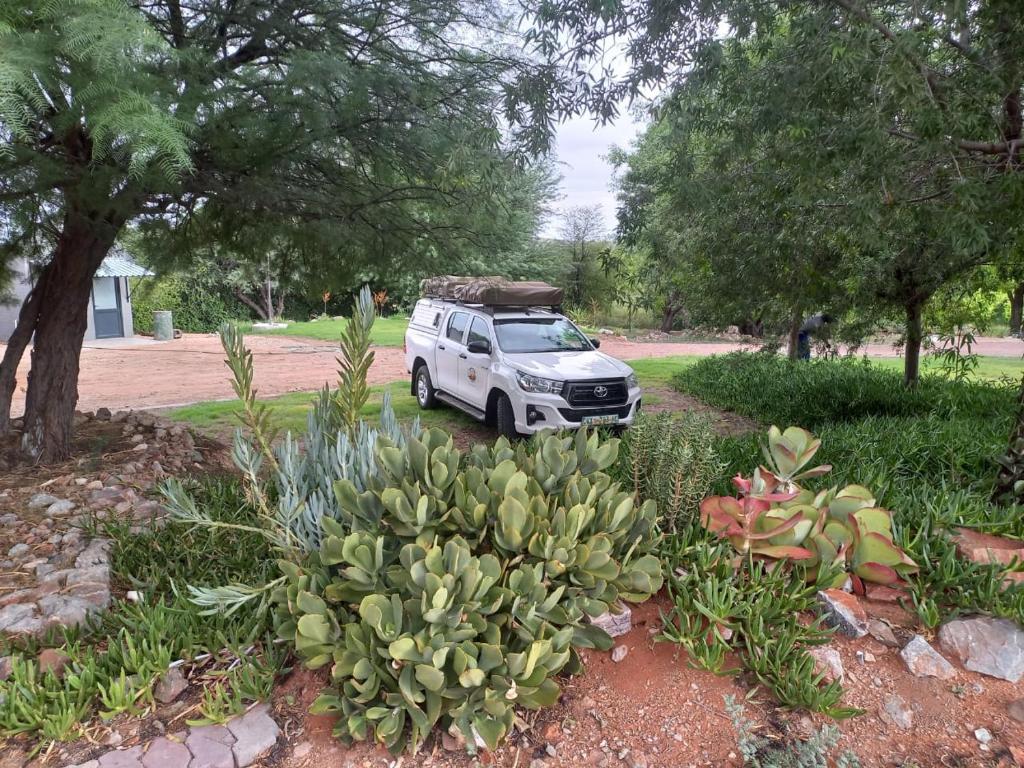 KAMBIKI FARM Camping, Upington (updated prices 2026)