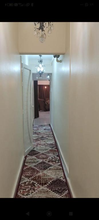 Dokki, Cairo (updated prices 2025)