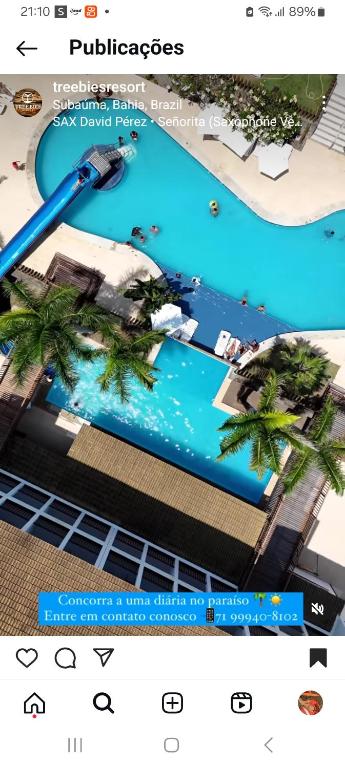 Treebies, Subaúma (preços atualizados para 2025)