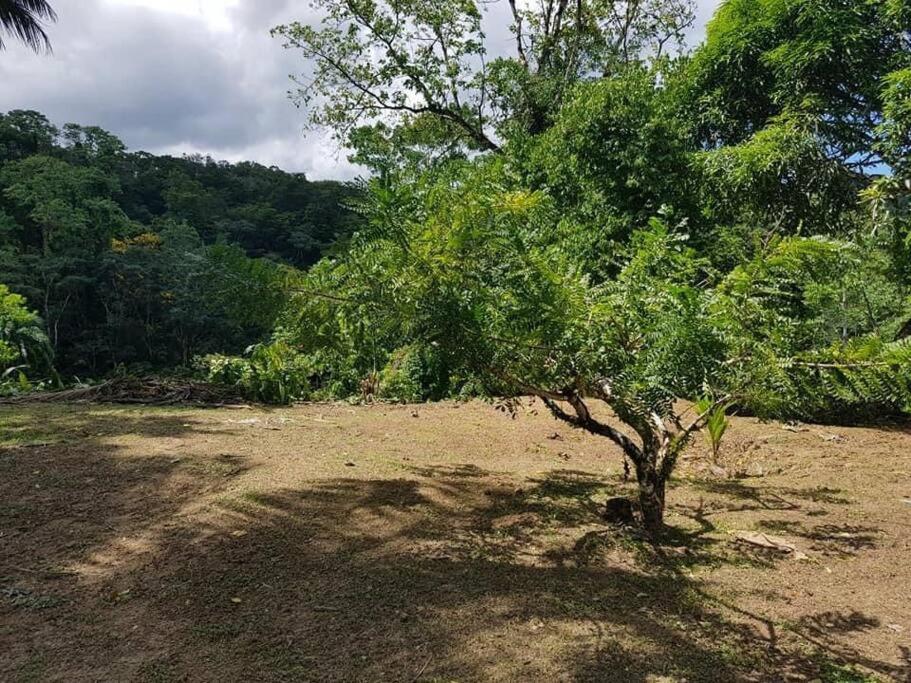 The hill house BRASSO SECO VILLAGE, Brasso Seco Village (precios ...