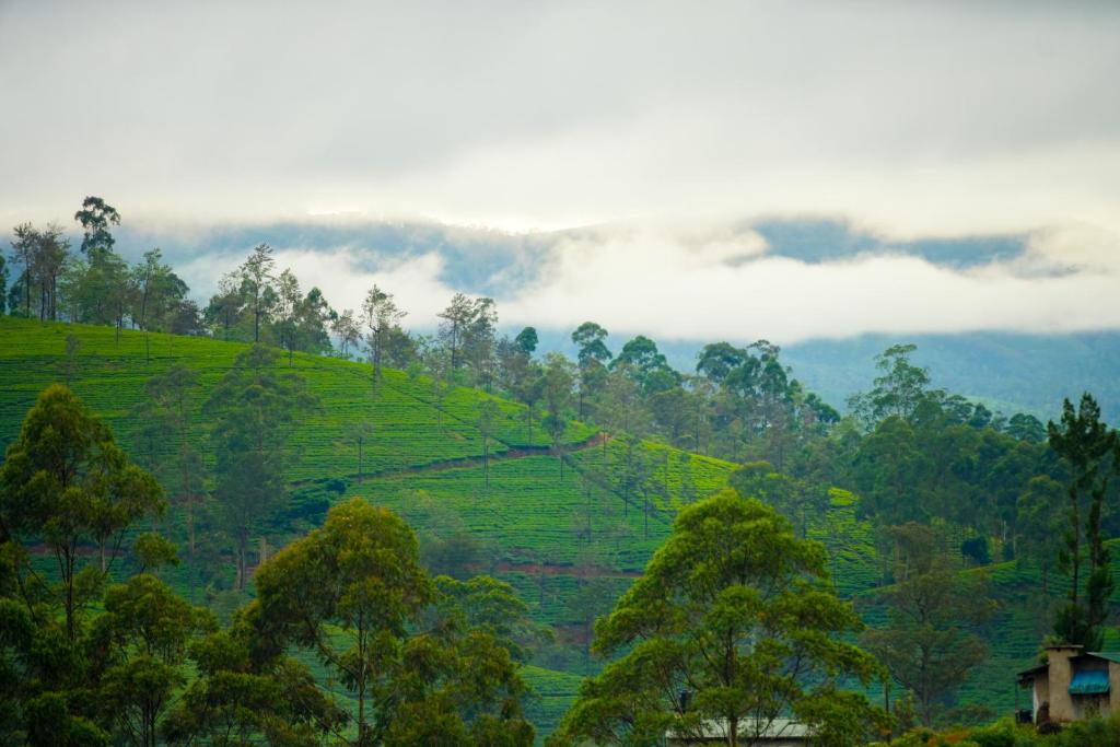 La Casa Lindula Villa Sarendip, Nuwara Eliya (updated prices 2025)