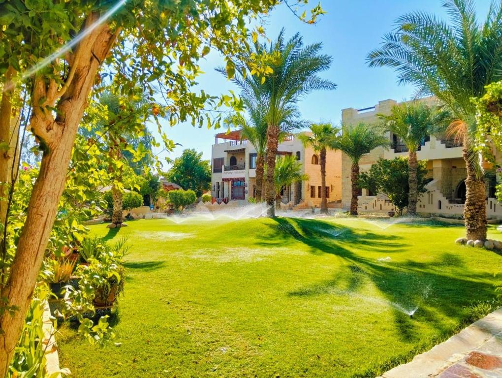 palm shadow resort, Tunis (updated prices 2024)