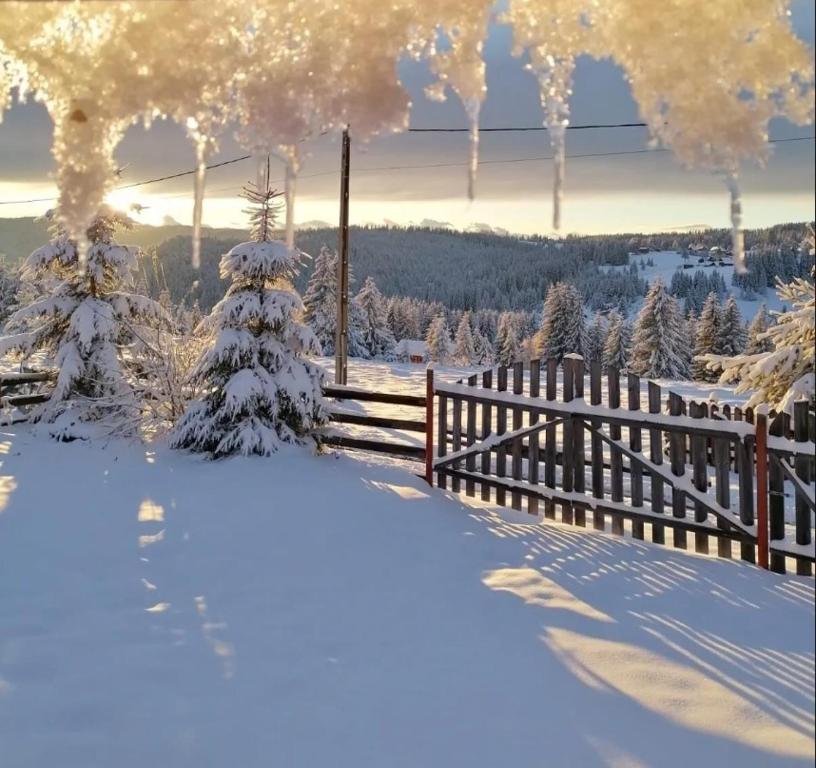 Cabana Orizont Marisel, Mărişel (updated prices 2026)