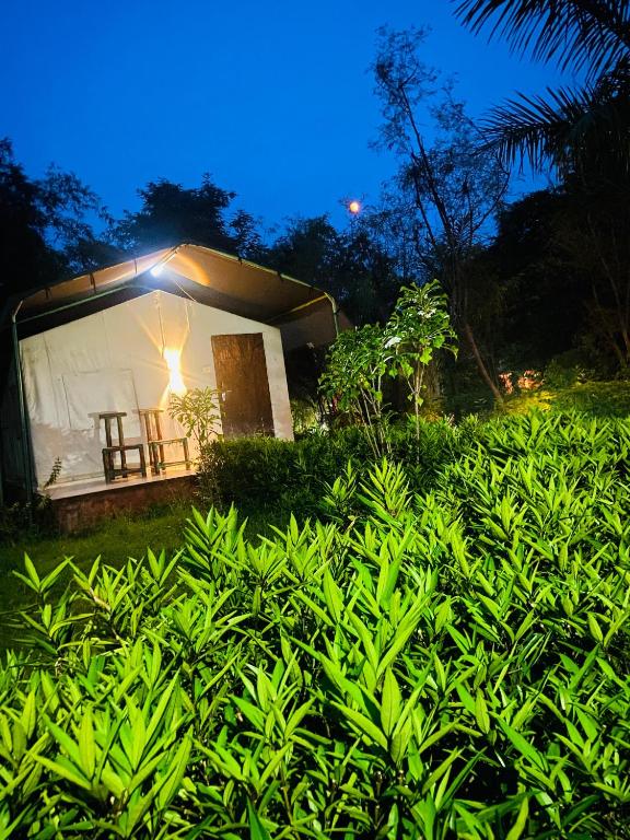 Banyan Tree by SayC Hospitality, Khawāsa (updated prices 2024)