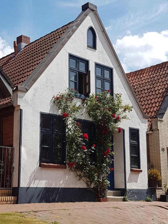 Tiny House - Kleines Glück auf dem Ostedeich, Neuhaus an der Oste ...