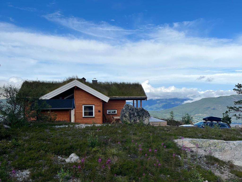 Susans Hus, Vradal (updated prices 2026)