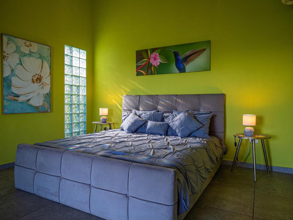 Finca Colibri, Boca Chica