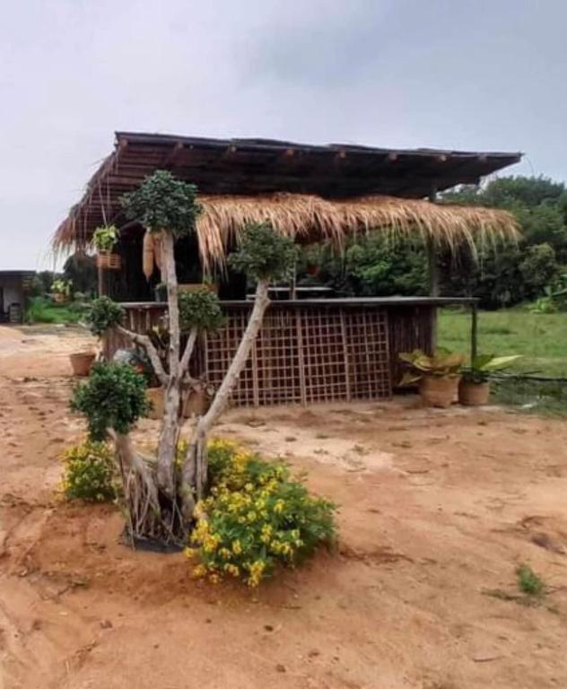 ทุ่งนากางเต้นท์ Countryside, Buriram (updated prices 2026)