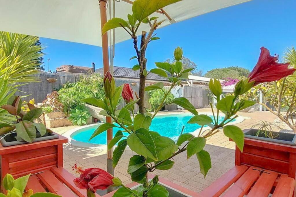 Beach Apartment#1 for 2 ADULTS ONLY ,self-contained, Singleton (updated ...